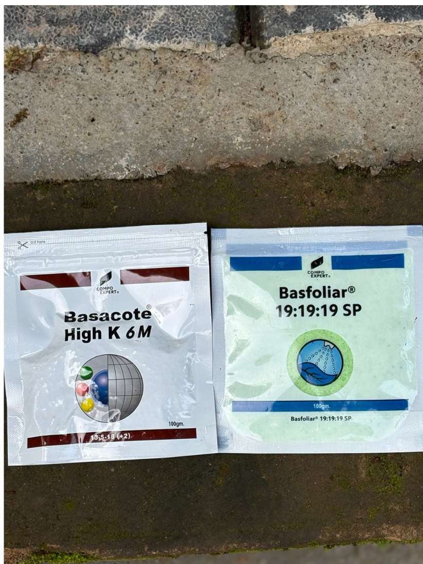 Fertilizer Combo Basacote+NPK 19 19 19 Nutrient Support 100 Gms ...