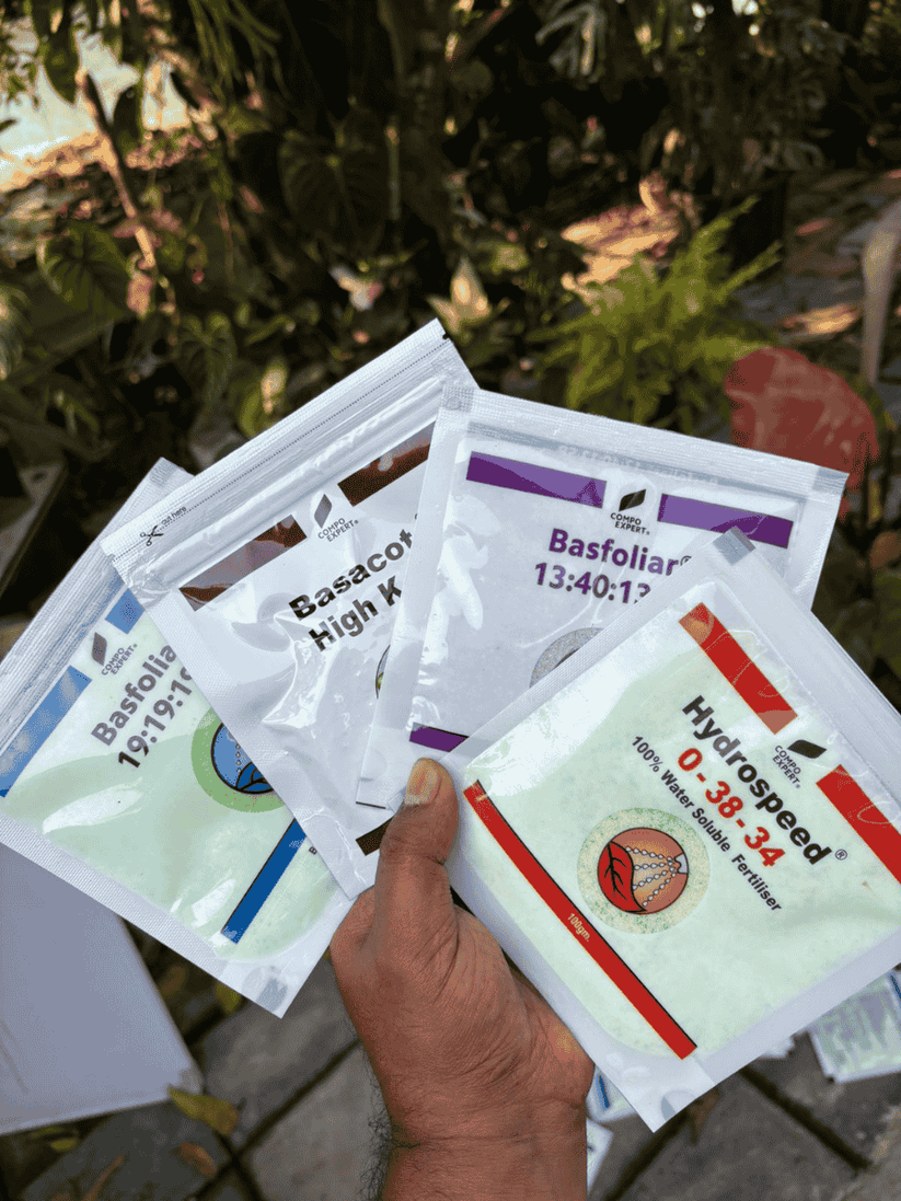 Fertilizer Combo NPK 19 19 19 + Basacote + Hydrospeed + Basfoliar 13 1 ...